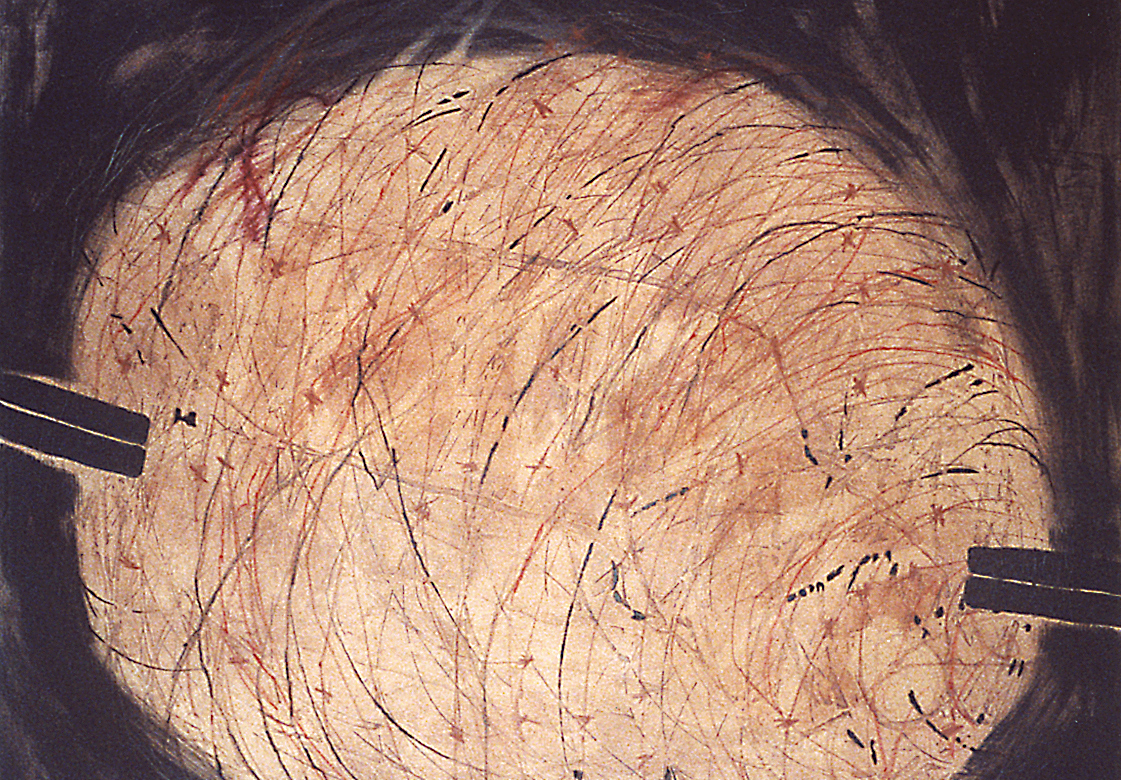 2008 | 2007 – Barbara Seifried